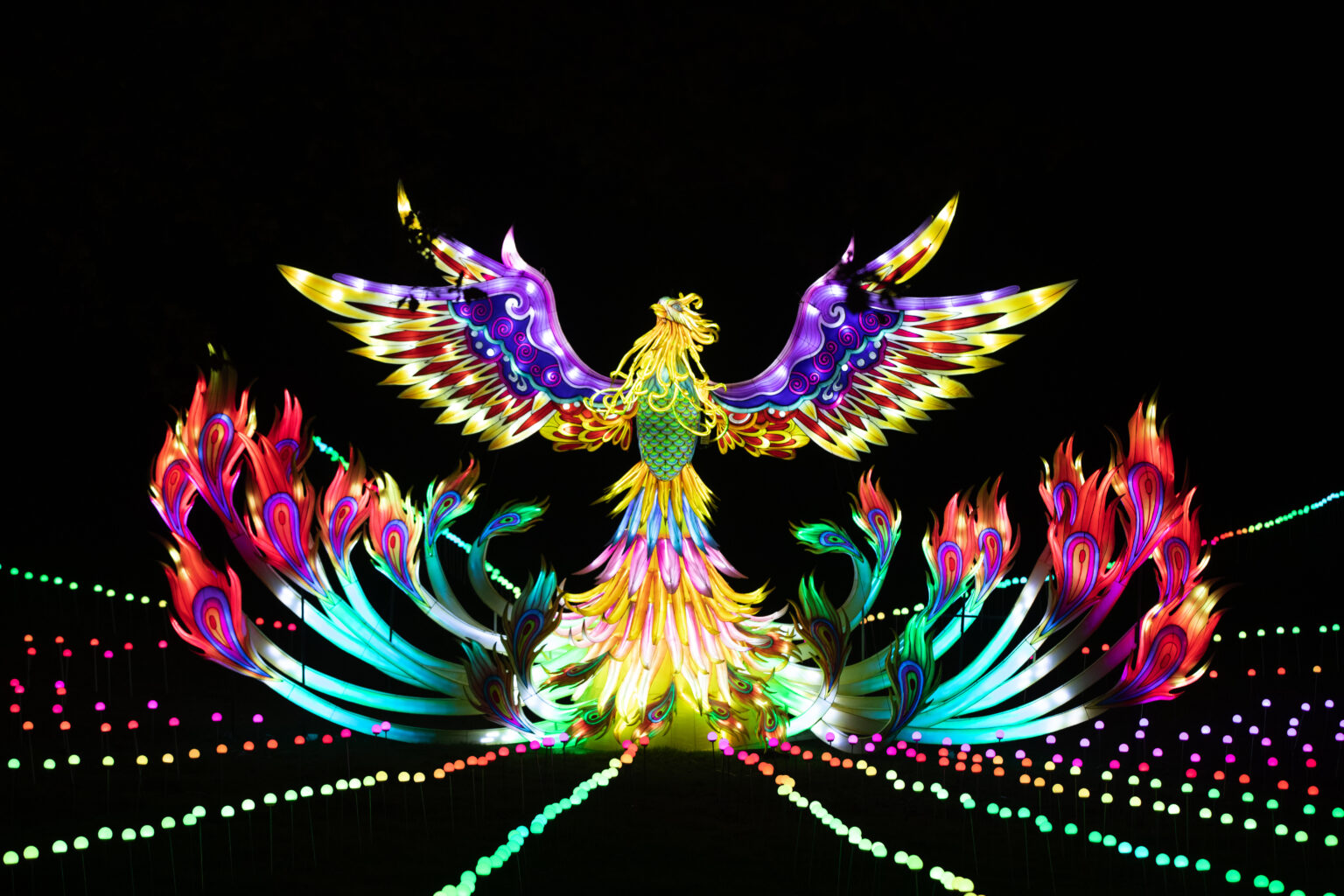 You can now get 10% off tickets to Lightopia at Heaton Park this ...