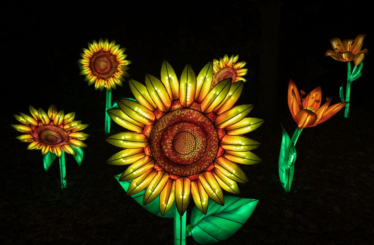 Lightopia is returning to Heaton Park with a new Christmas-themed ...