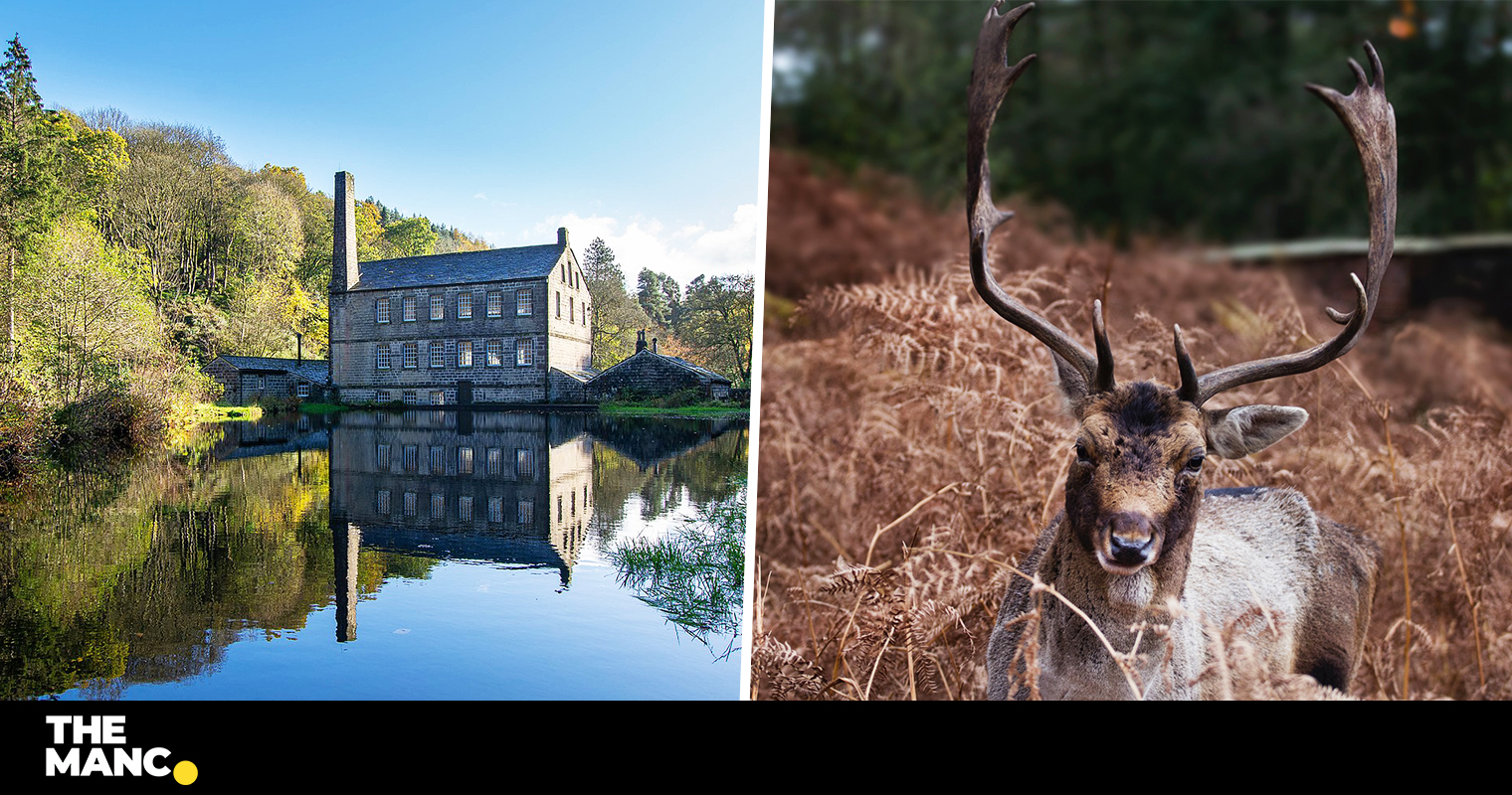 You can visit National Trust sites for free this autumn