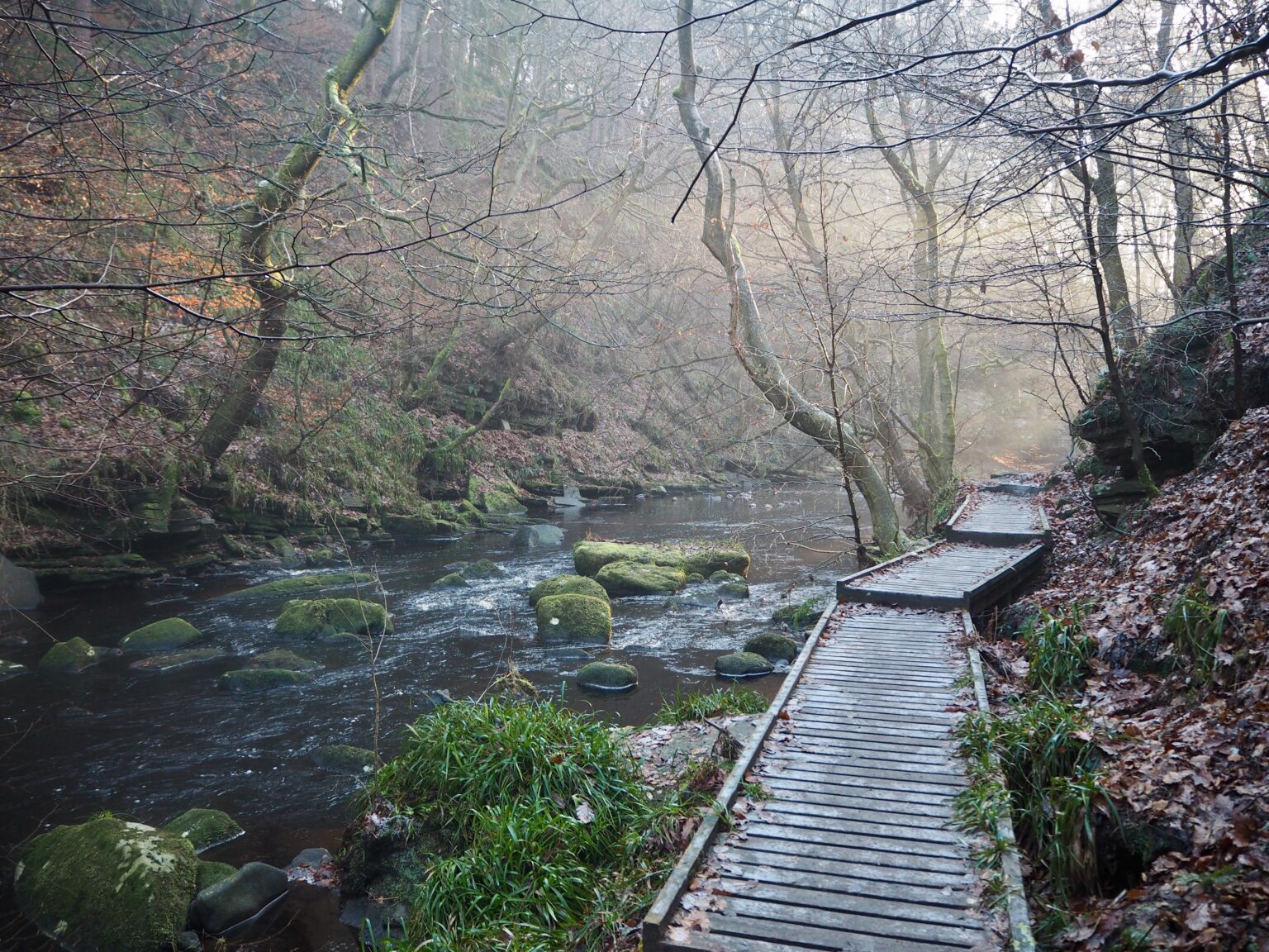 Hardcastle Crags - the prettiest autumn walk in the North West