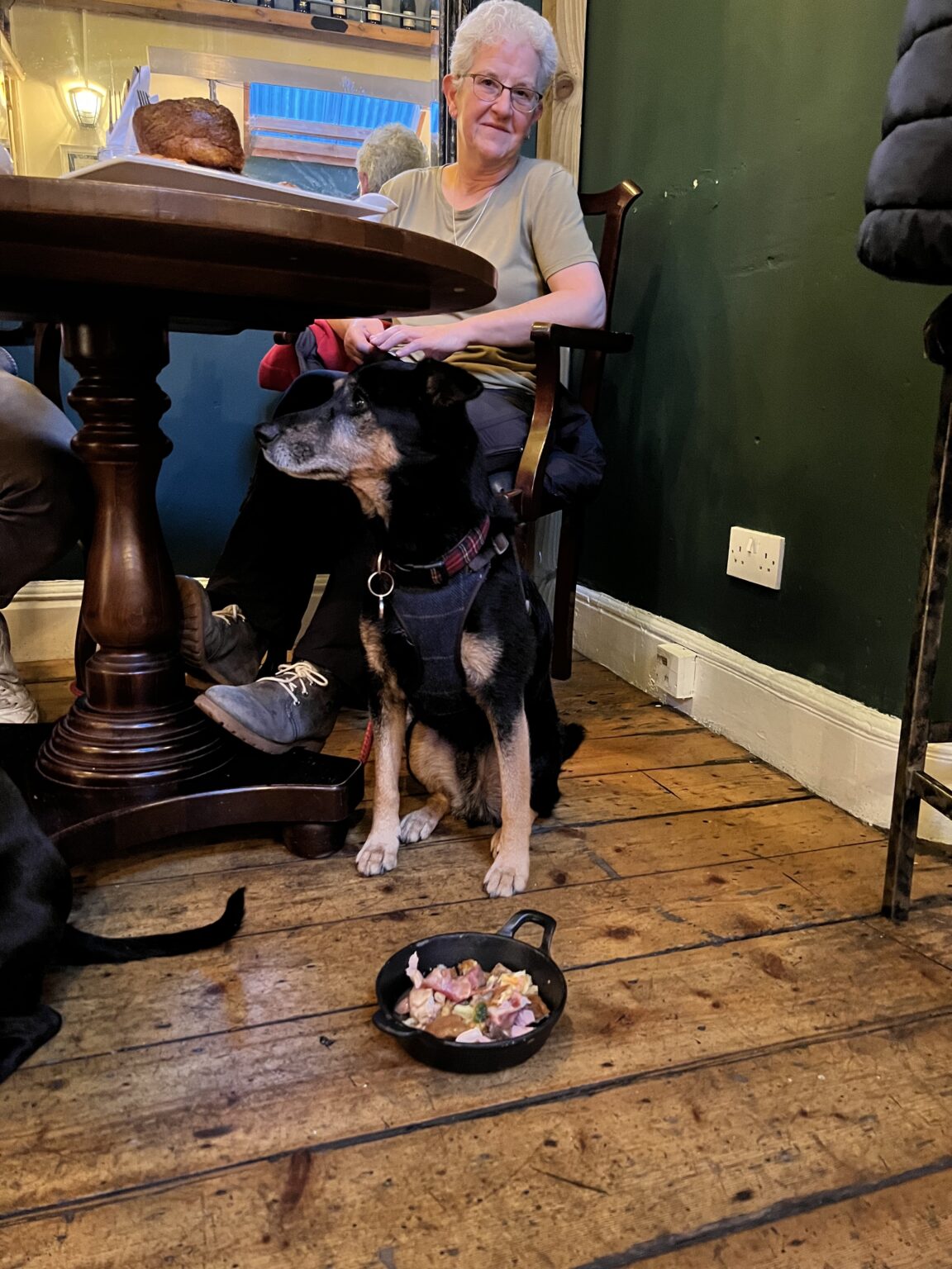 This Chorlton bar will serve a Sunday roast for you AND your dogs