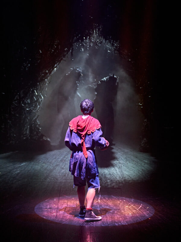 The Ocean at the End of the Lane - The Lowry's terrifying theatre show