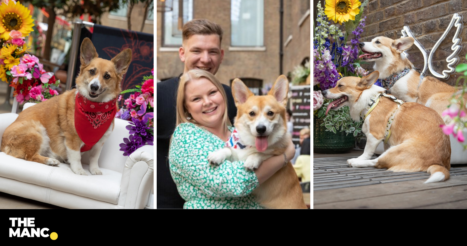 A corgi cafe with a ballpit, bakery, and boutique is coming to Manchester