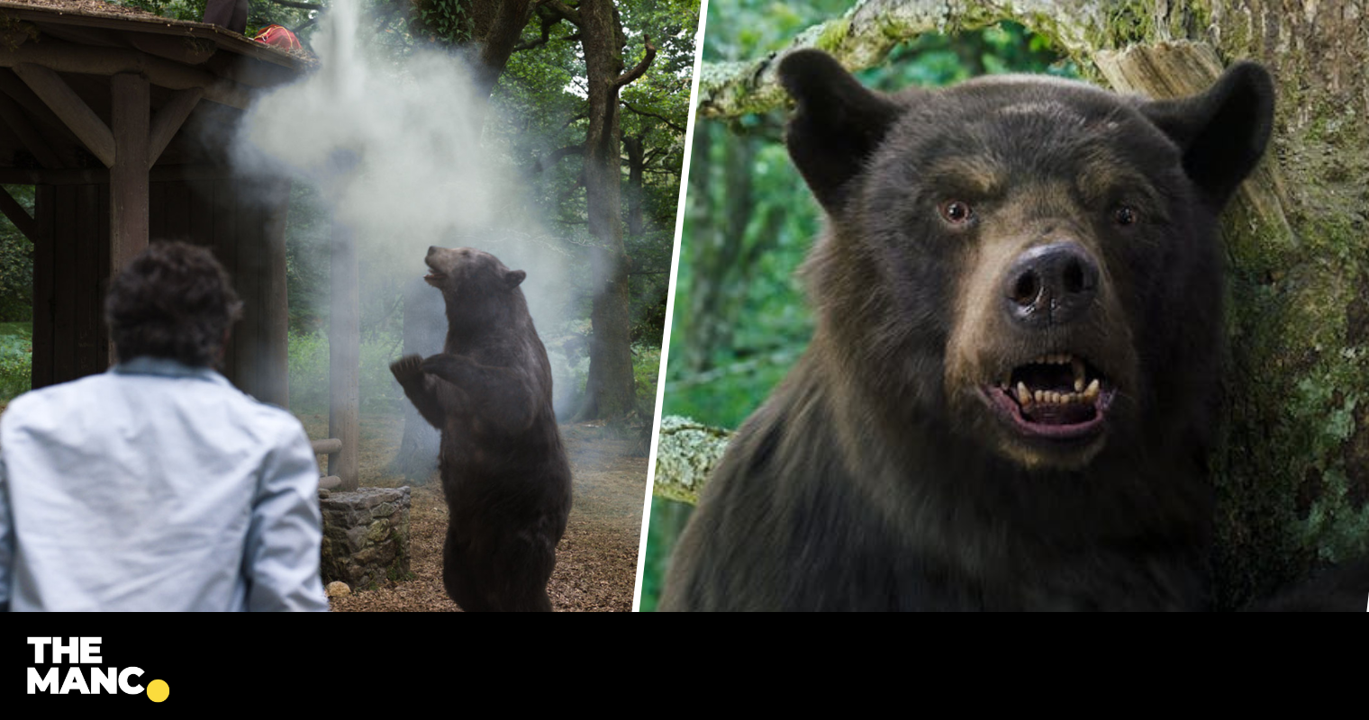 Cocaine Bear: the ‘ridiculous’ new film that premiered with a perfect ...