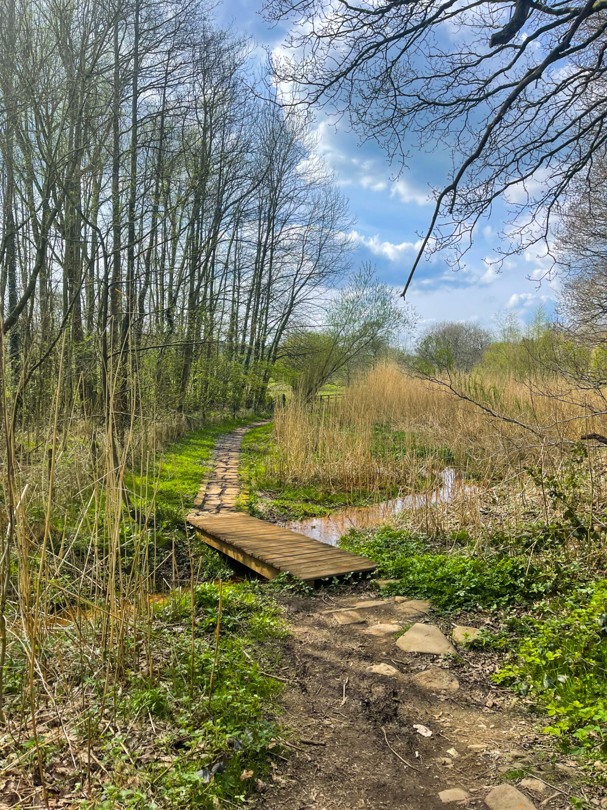 Torrs Millennium Walkway - Peak District walk above a huge gorge