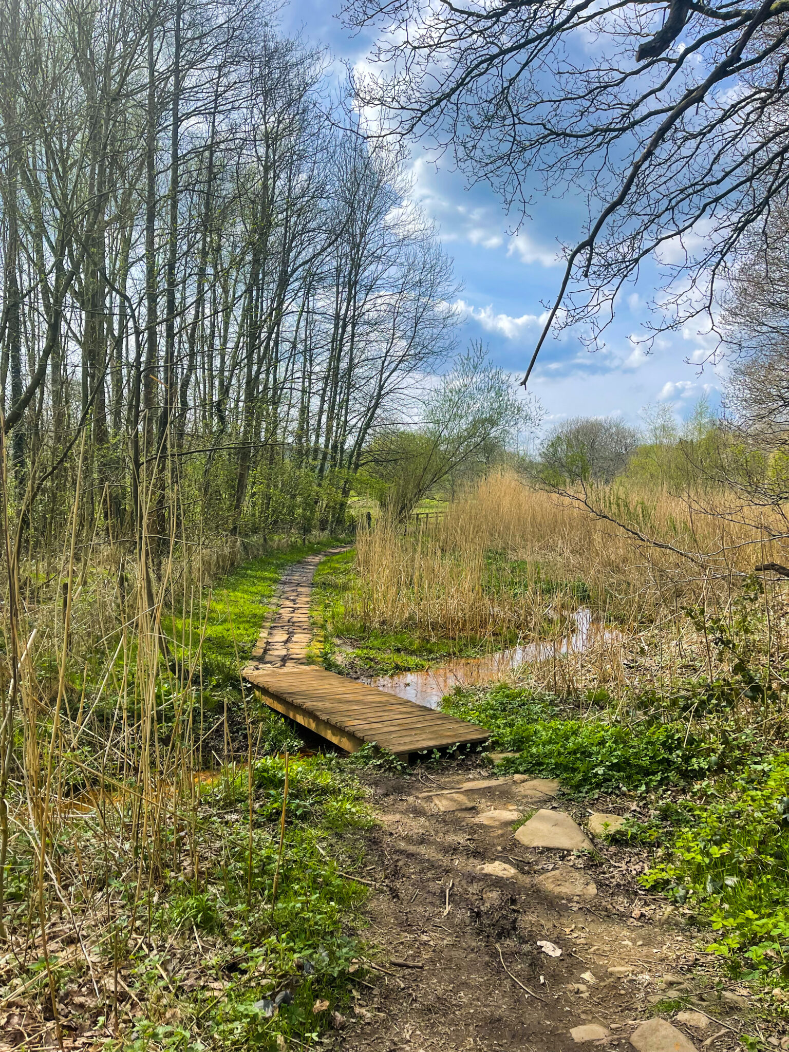 Torrs Millennium Walkway - Peak District walk above a huge gorge
