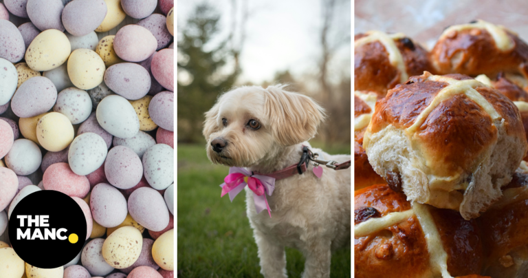 5 Easter foods that are toxic to dogs and what to do if they eat them