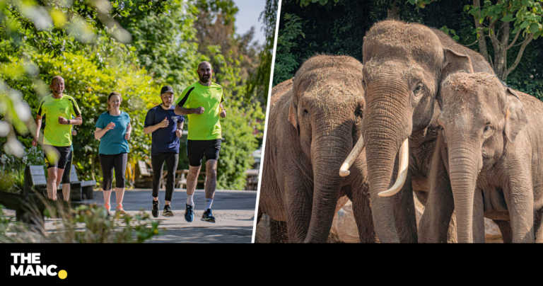 Chester Zoo calls for runners to take on new charity 10k to help 'save ...