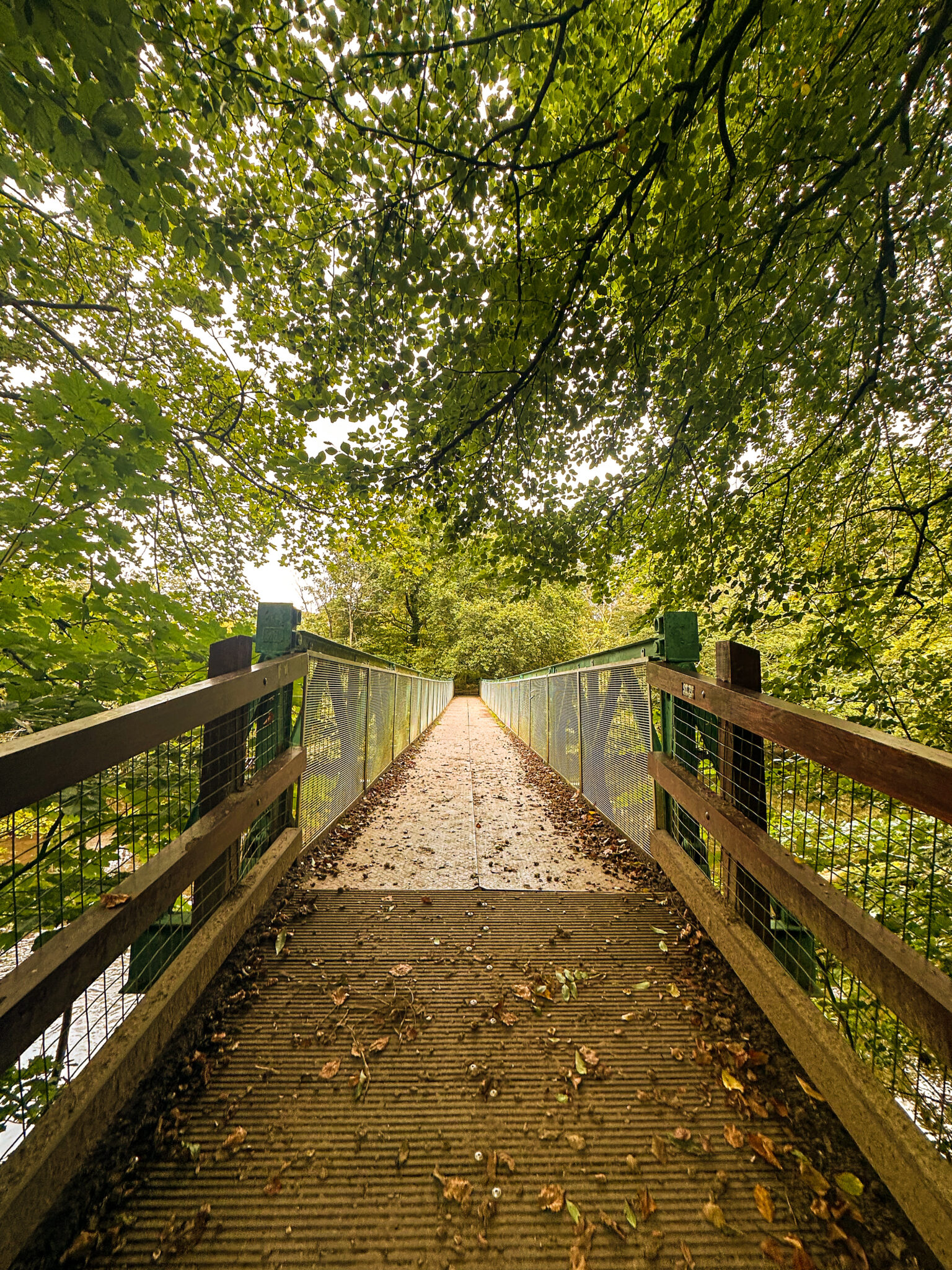 You can eat a four-course luxury meal while riding a steam train ...