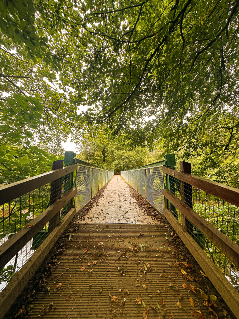 You can eat a four-course luxury meal while riding a steam train through Greater Manchester