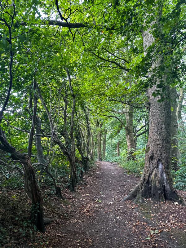 You can eat a four-course luxury meal while riding a steam train ...