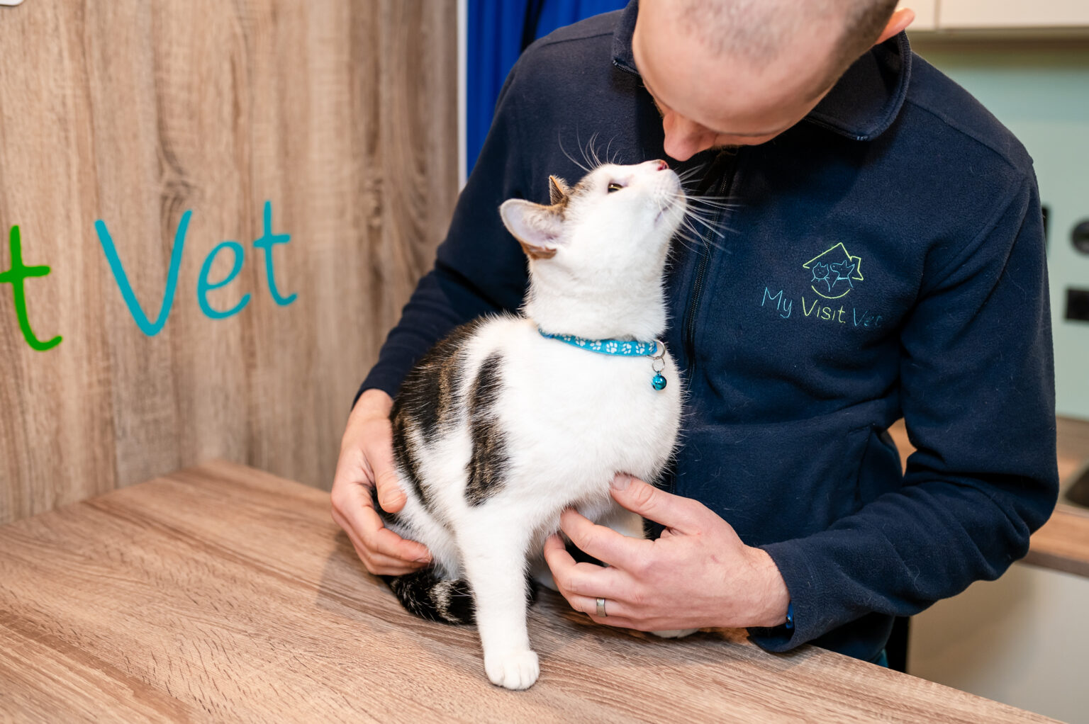 A mobile vet is going the extra mile to help pets around Greater ...