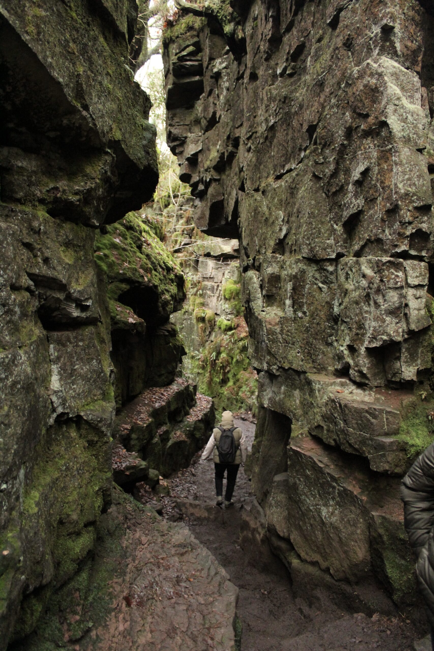 The Roaches and Lud's Church: one of the most varied and scenic walks ...