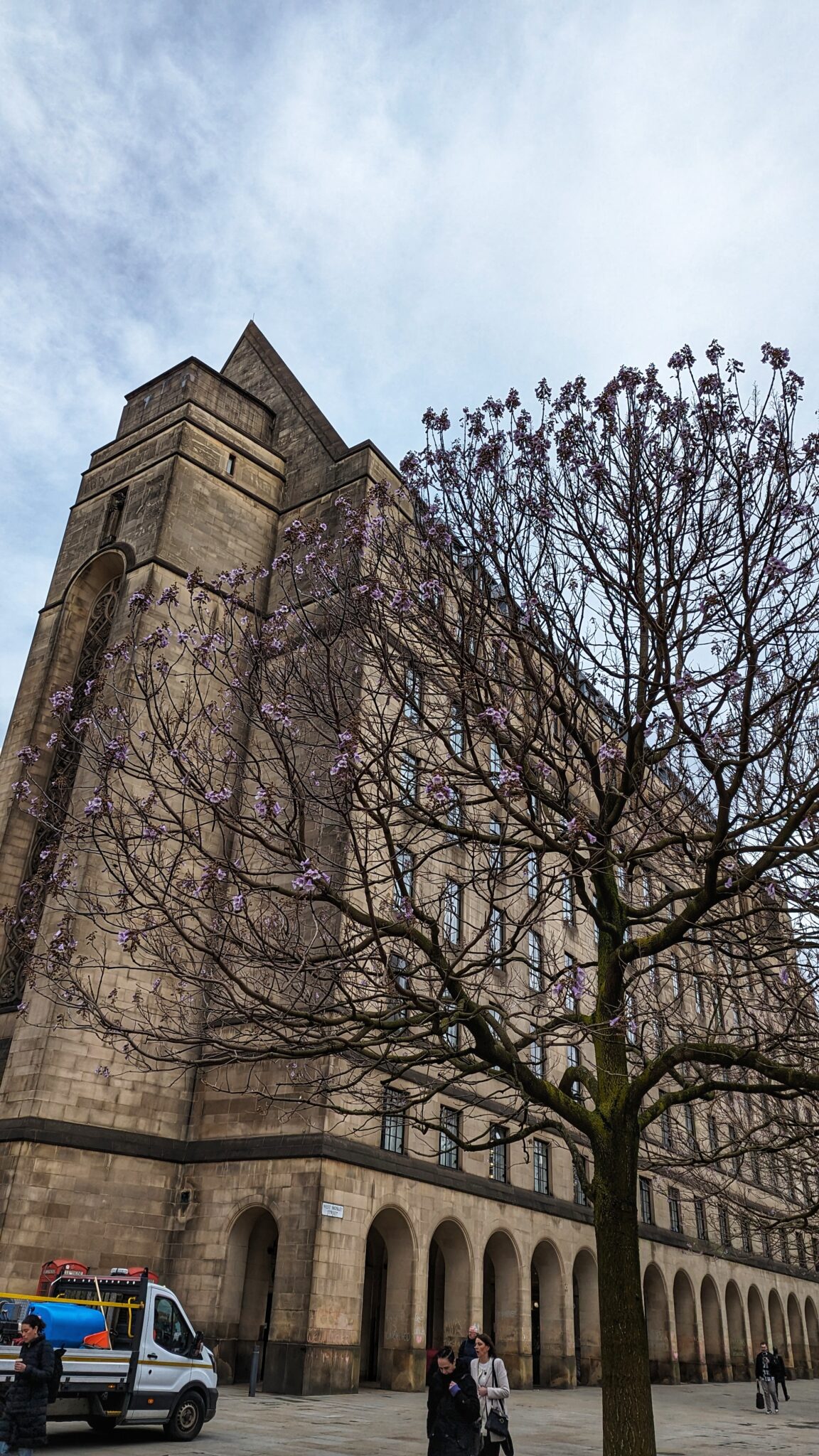 The beautiful blossom walking trail through Manchester city centre