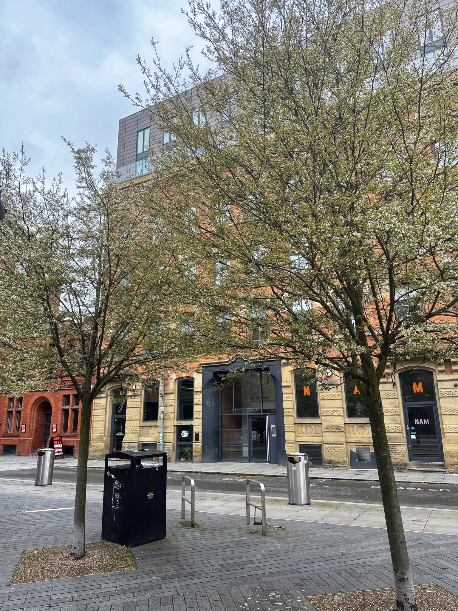 The beautiful blossom walking trail through Manchester city centre