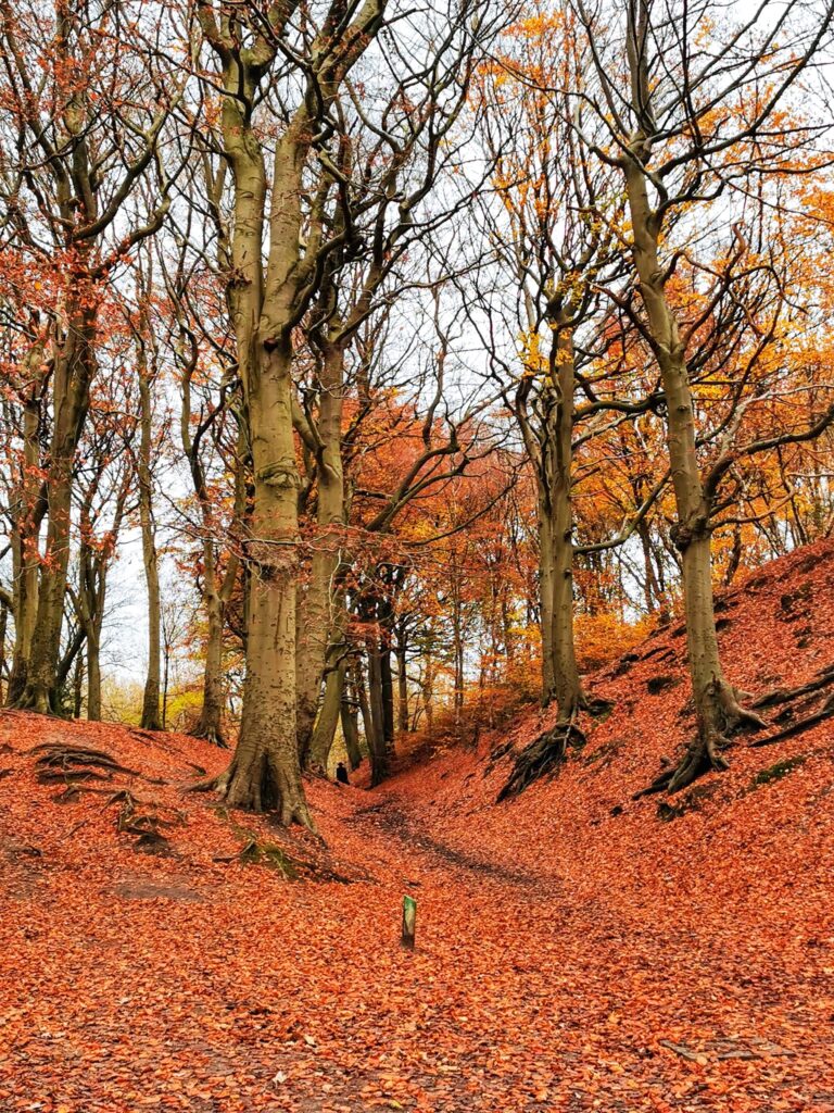 A Manc's guide to: Prestwich, Bury's up-and-coming neighbourhood