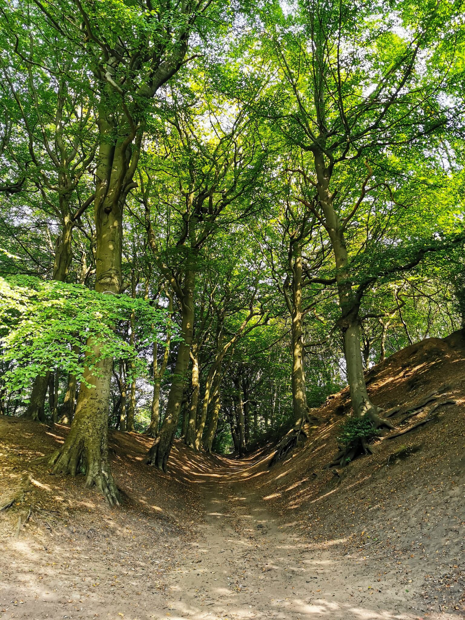 A Manc's guide to: Prestwich, Bury's up-and-coming neighbourhood