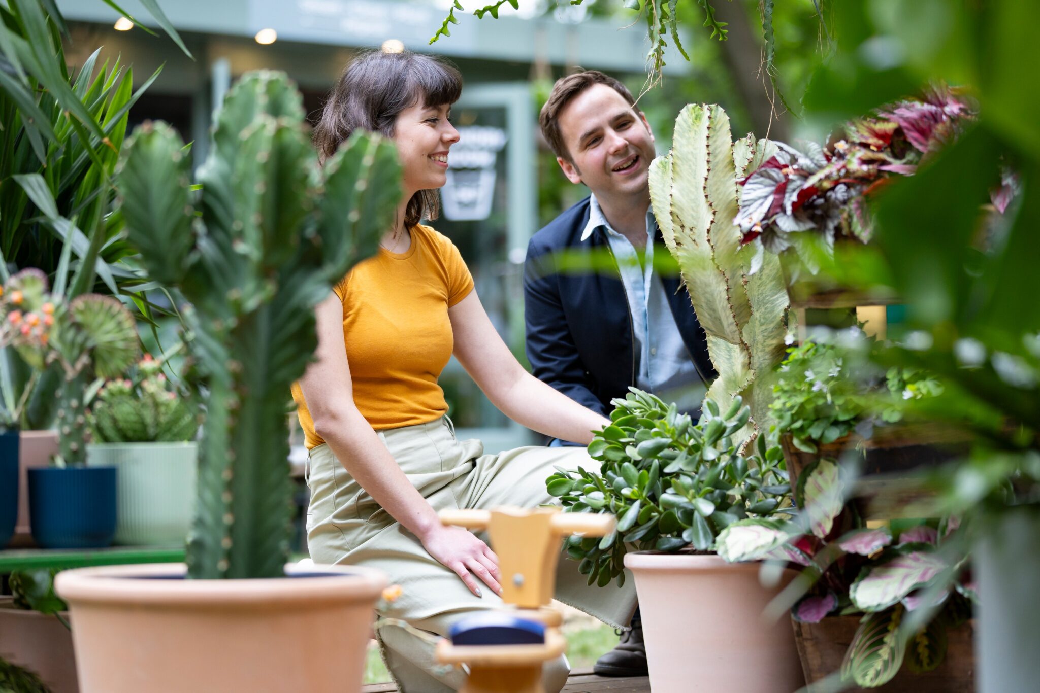 First-ever RHS Urban Show to take place in Manchester this month