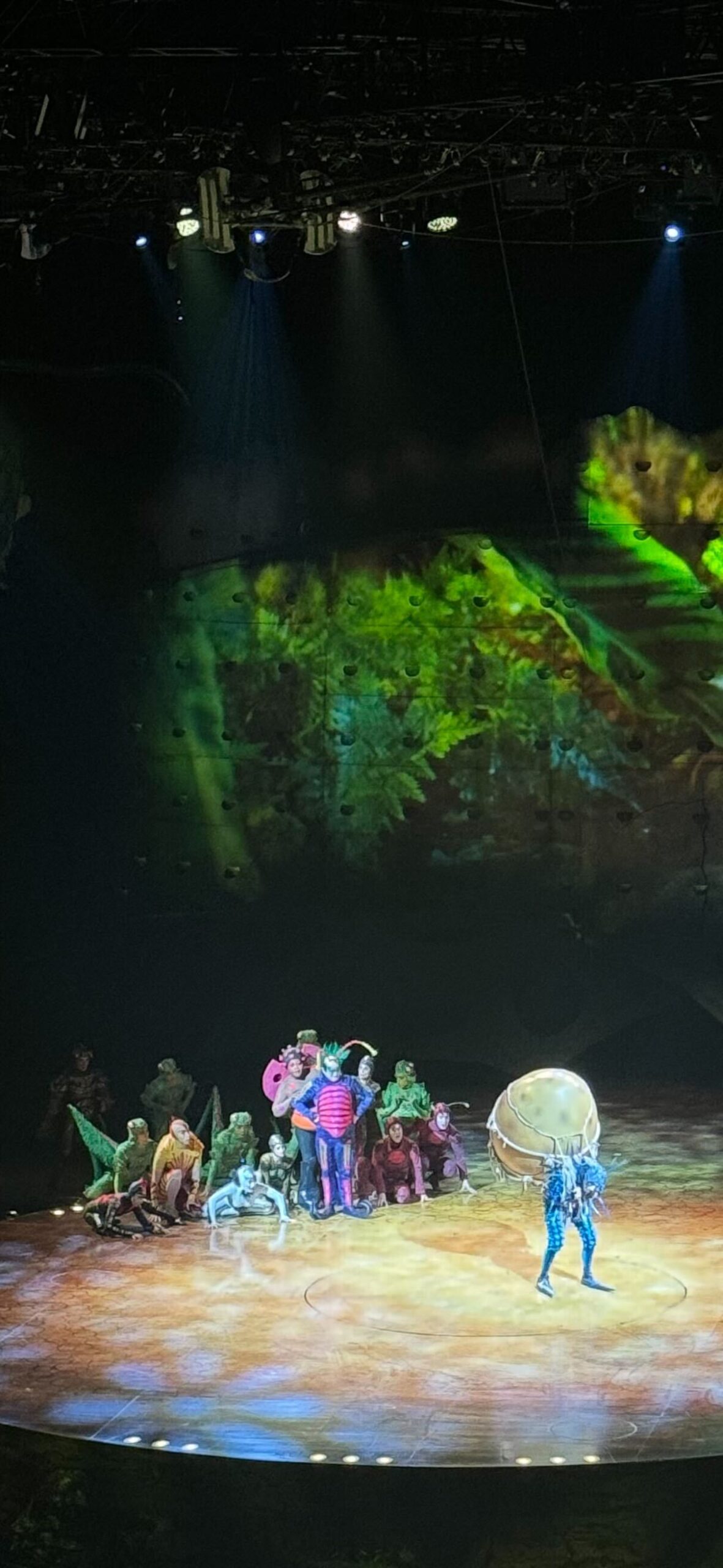 Review: Cirque du Soleil's OVO stuns Manchester at the AO Arena