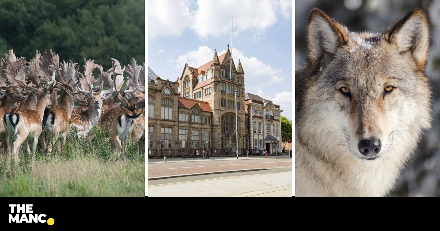 'Groundbreaking' new wildlife exhibition to open at Manchester Museum