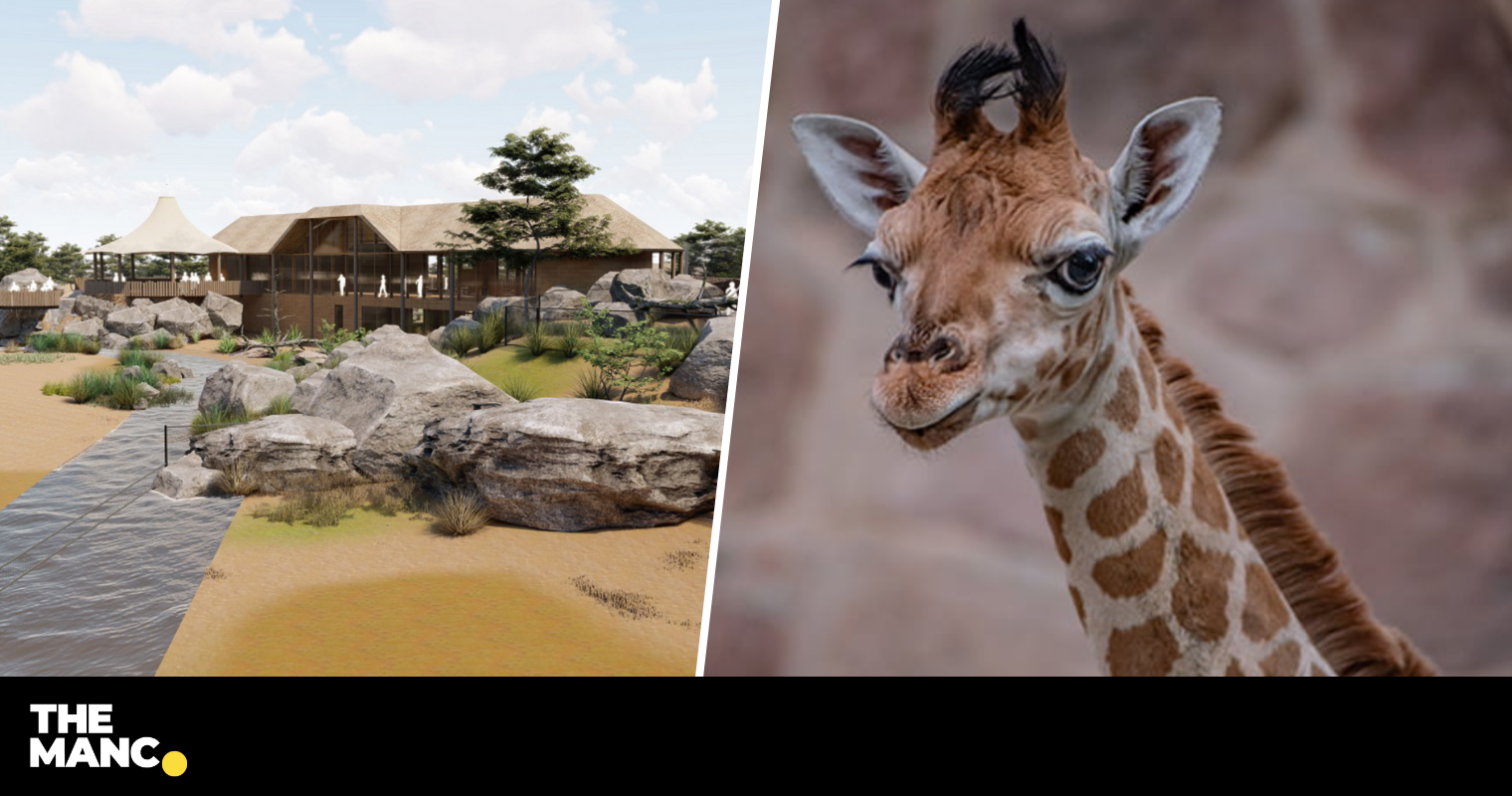 Plans approved for new safari lodges at Chester Zoo where visitors wake ...