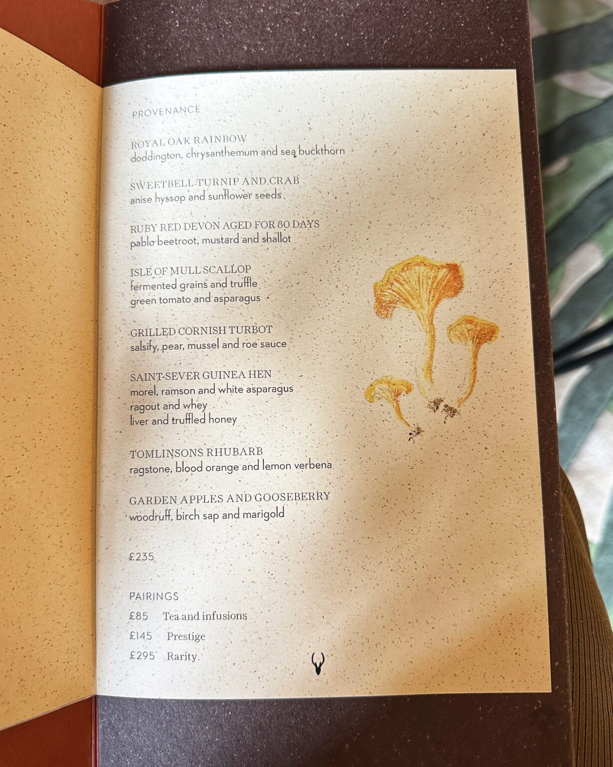 Moor Hall - What it's like to eat at the best restaurant in England