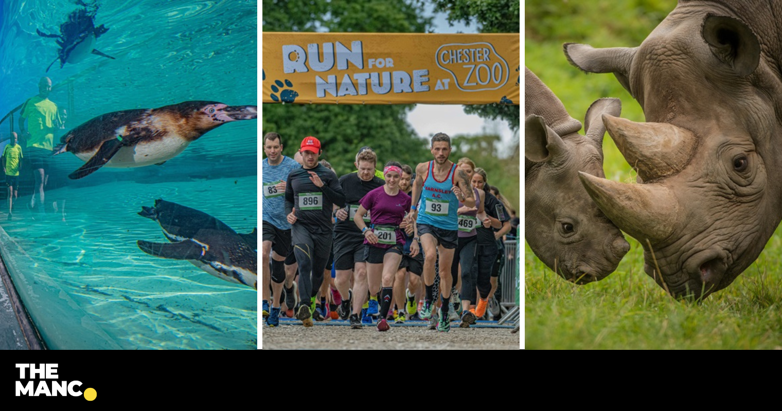 The Chester Zoo 10k returns for a World Rhino Day 2024