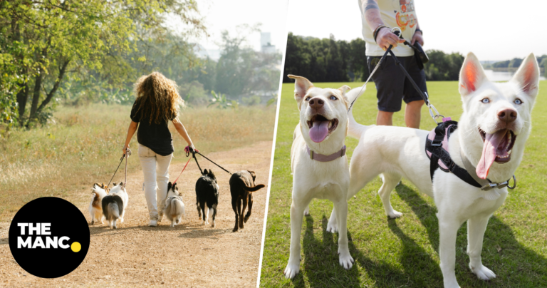 The UK's biggest social dog walking club is coming to Manchester