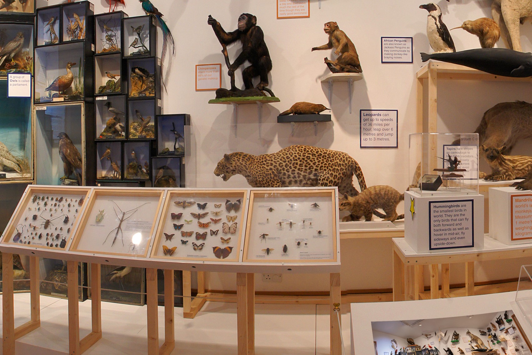 An immersive L. S. Lowry experience is coming to Salford Quays