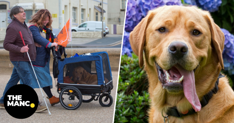 Hundreds turn out for dying guide dog's final walk along Blackpool seafront