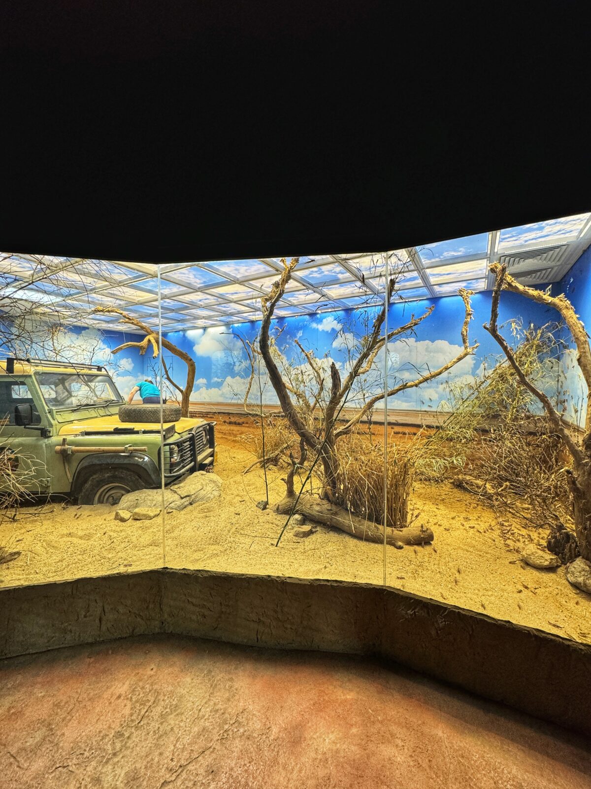 Heart of Africa - Chester Zoo opens massive 'African savannah'