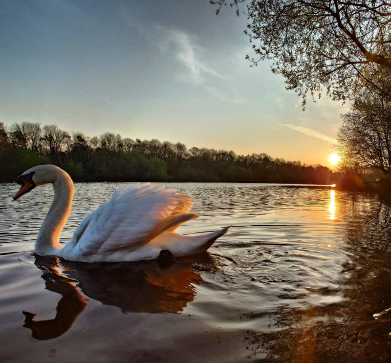 M&S to expand and create flagship store on major Greater Manchester ...