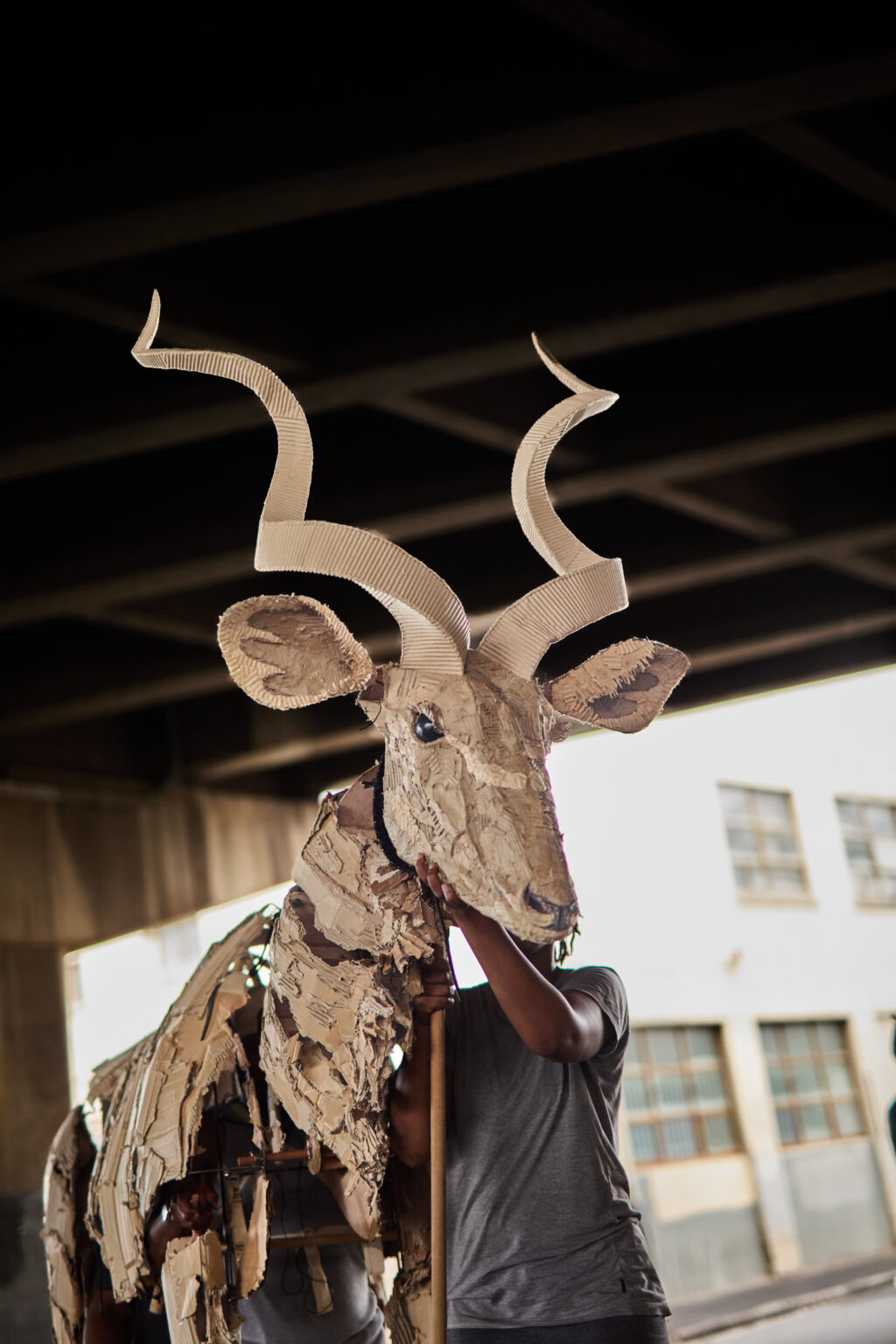 Life-sized animal puppets to be paraded through Greater Manchester this ...