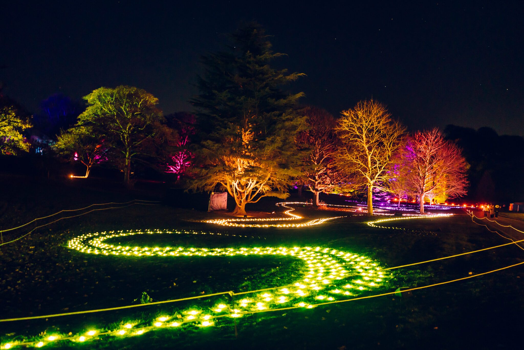 Manchester’s Heaton Park to host dazzling new immersive light trail ...
