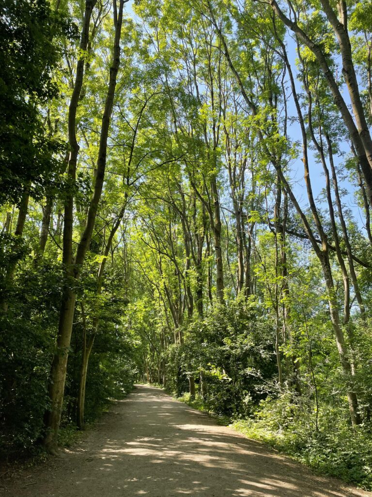 Huge food hall, luxury shops & more to open at Manchester Airport