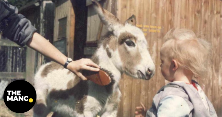 Tributes pour in after Heaton Park's beloved resident donkey Ralph dies ...