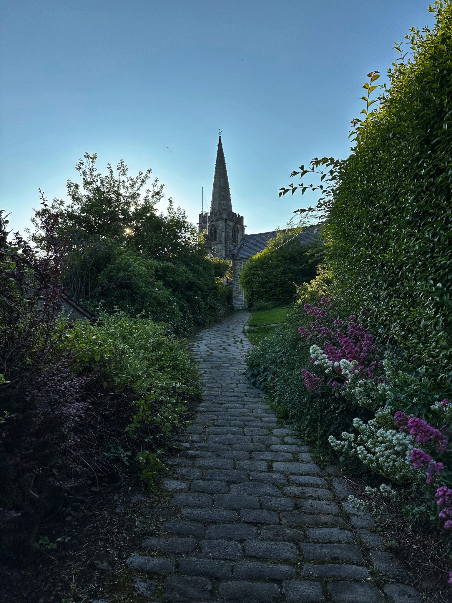 Blackpool Pleasure Beach to close five iconic rides after £2.7m loss