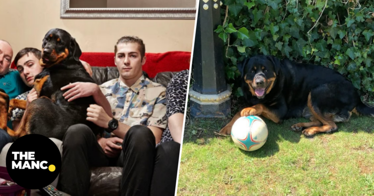 Gogglebox family the Malones announce the death of dog, Bob