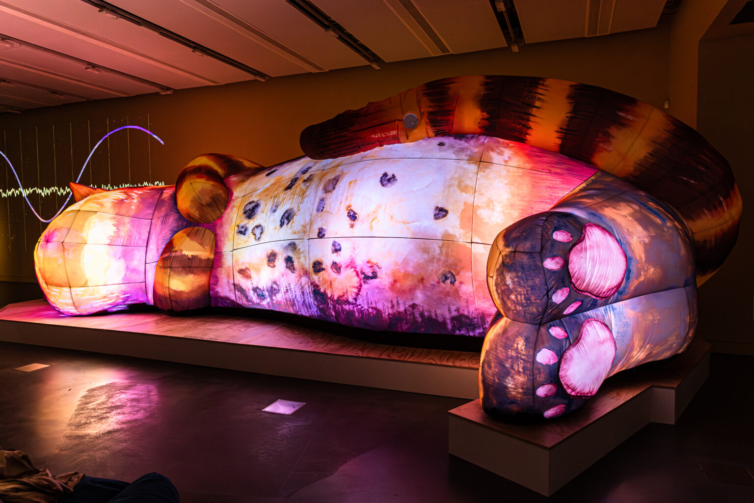 A giant cat exhibition has arrived in Manchester and it's FREE to visit