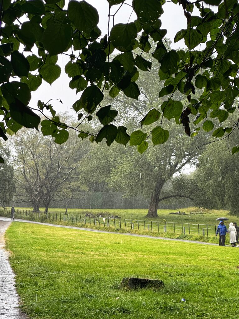 'Gallagher Hill' at Heaton Park fenced off ahead of Oasis shows