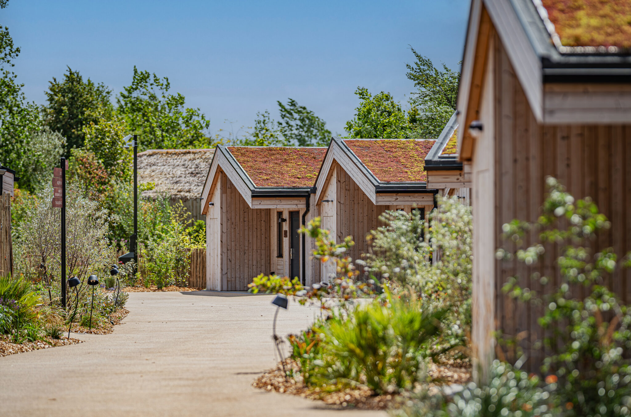 First look at Chester Zoo's new luxury safari-style lodges where you ...