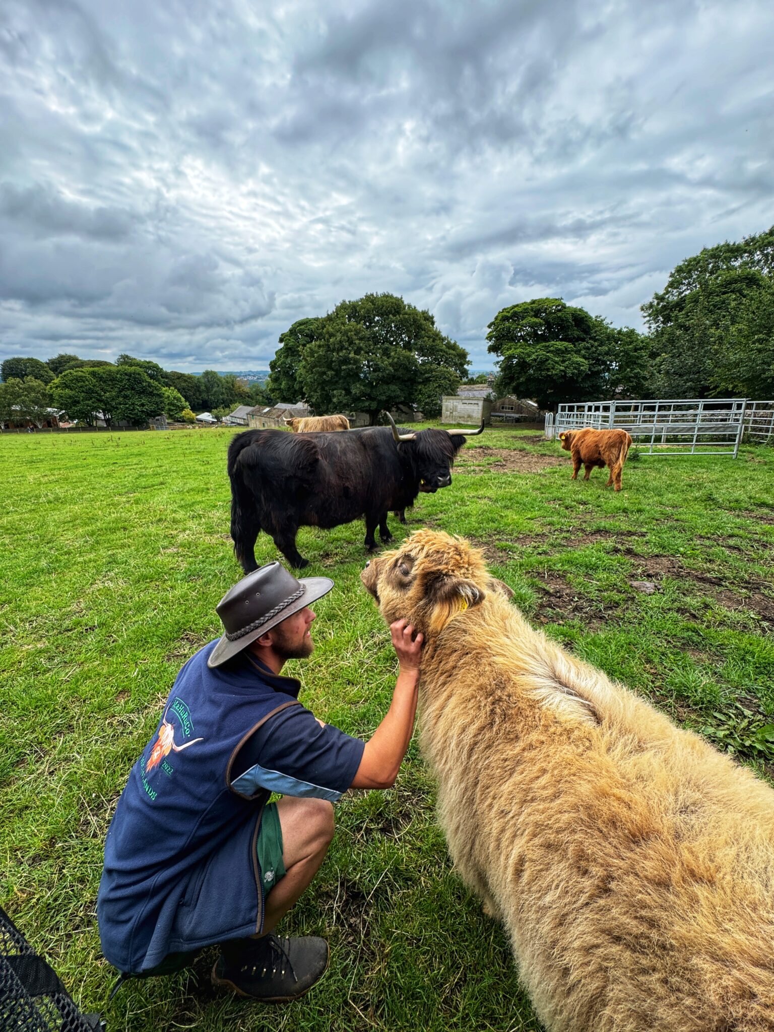 There's a farm in the Peak District where you can go on a Highland Cow ...