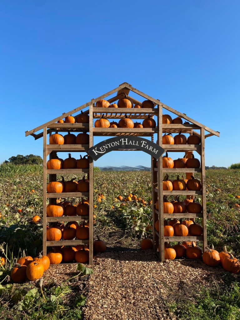 Inside The Martlet, Rochdale Town Hall's beautiful new restaurant