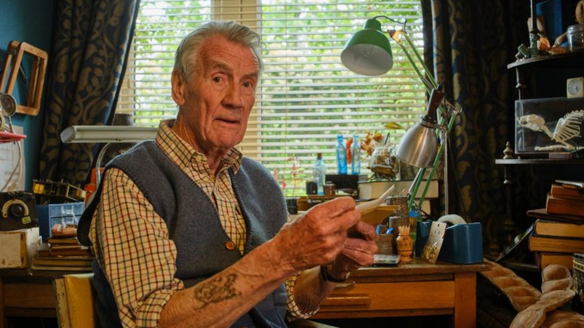 Aldi has launched limited-edition gender reveal Cuthbert caterpillar cakes