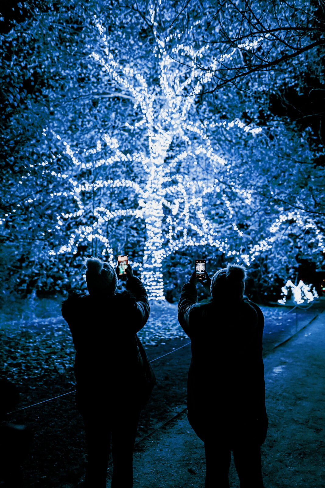 The North West’s most mesmerising festive light trail will return to ...