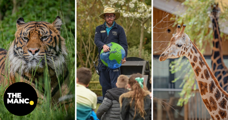 Chester Zoo needs a new Zoo Ranger to patrol among rare giraffes ...