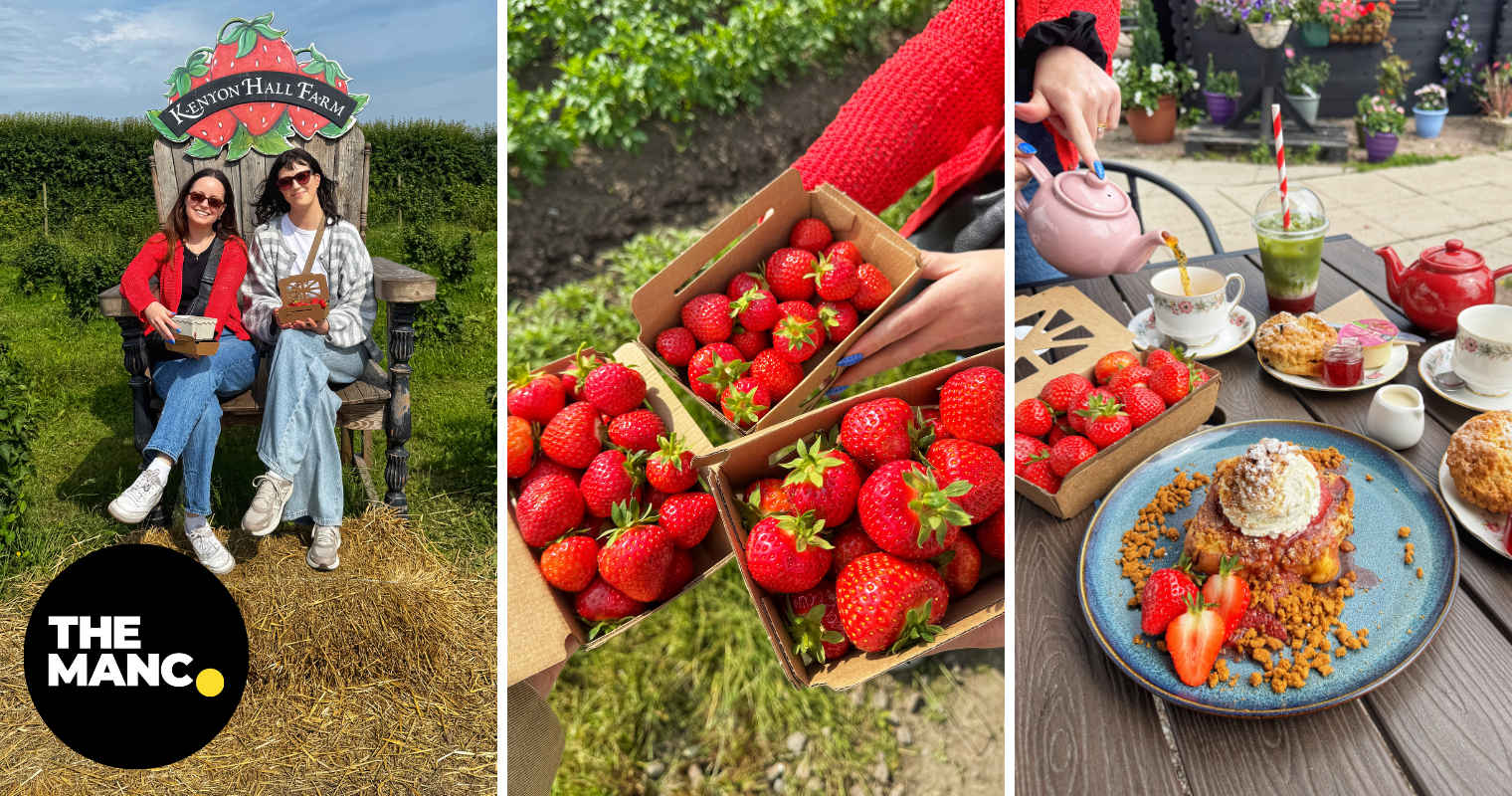 You can pick your own fresh fruit from the fields of a family-run farm ...