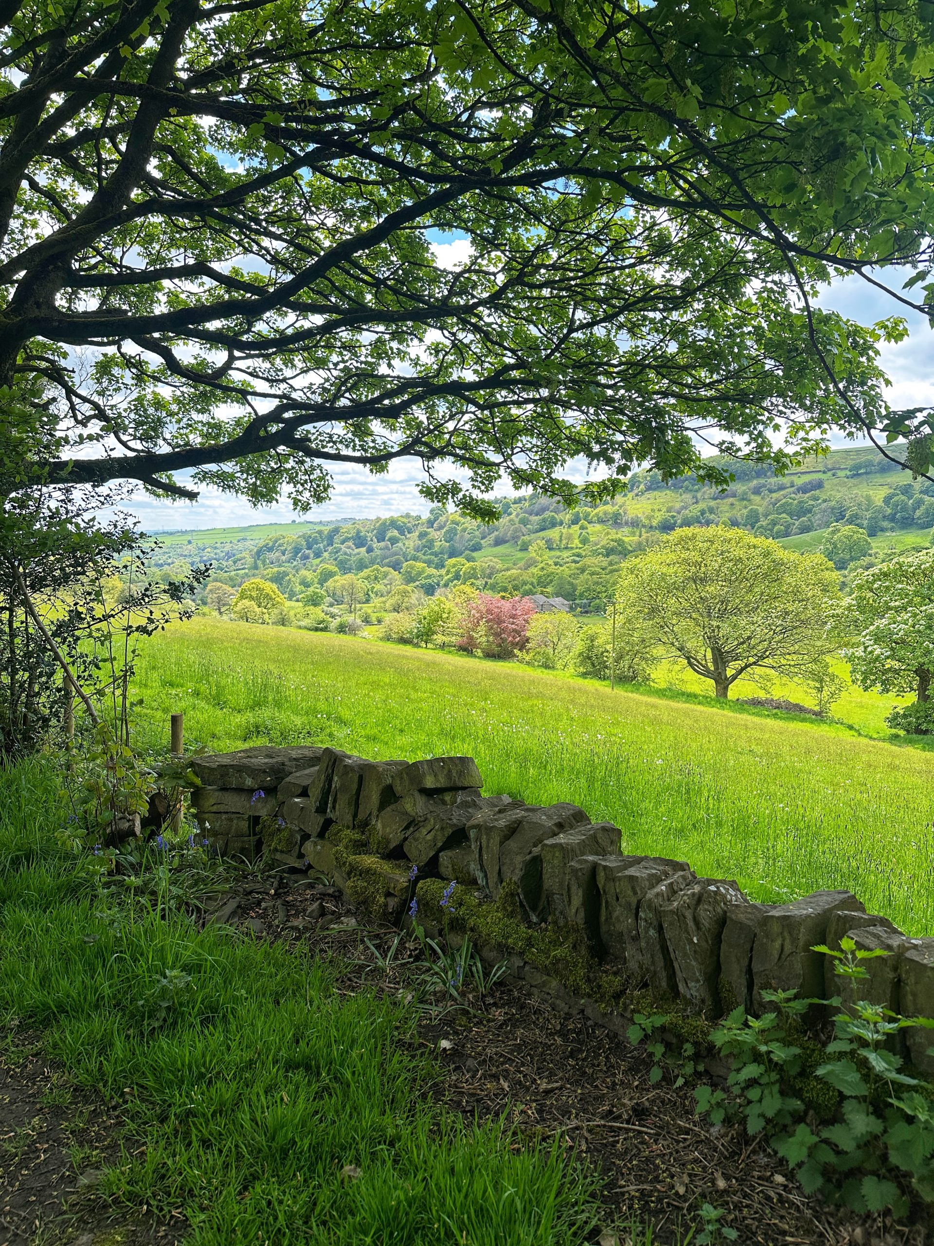 An award-winning gastropub and beautiful valley walk in West Yorkshire