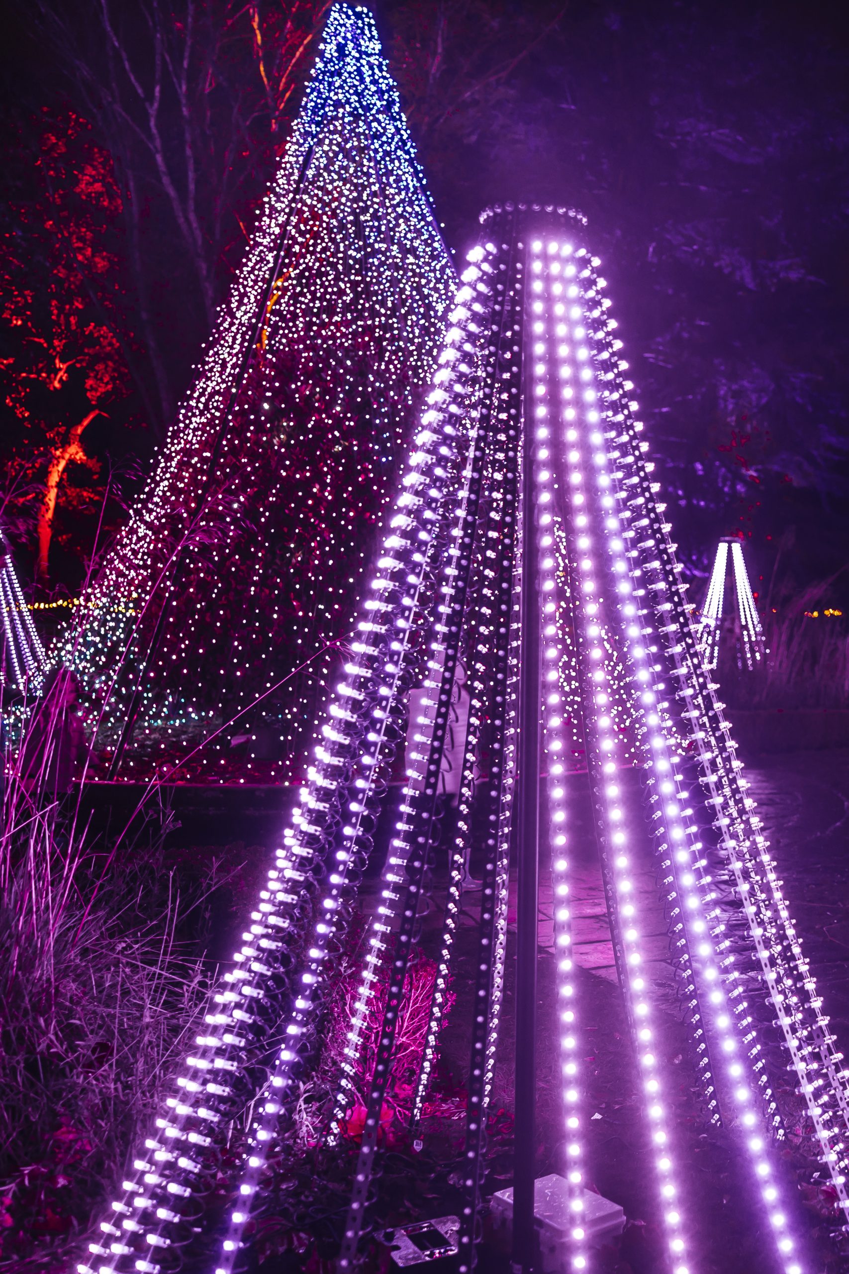 Bewitching Christmas light trail Northern Lights will return to Heaton ...